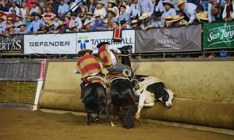 LA SANGRE DE LOS CAMPEONES DE CHILE DE RODEO - Rodeo y Rienda