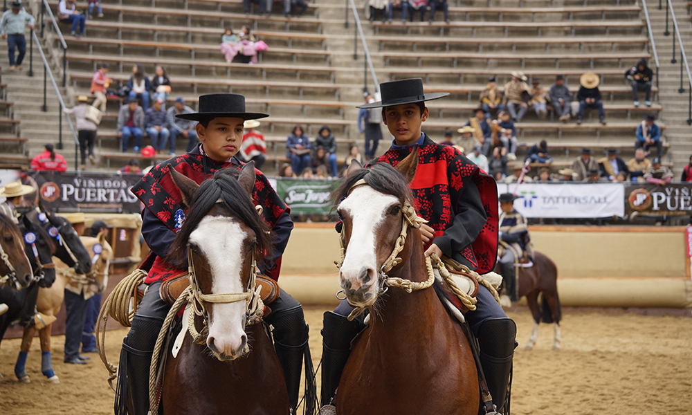EL SEMILLERO DEL RODEO TIENE SU ESPACIO EN EL CHAMPION DE CHILE - Rodeo ...